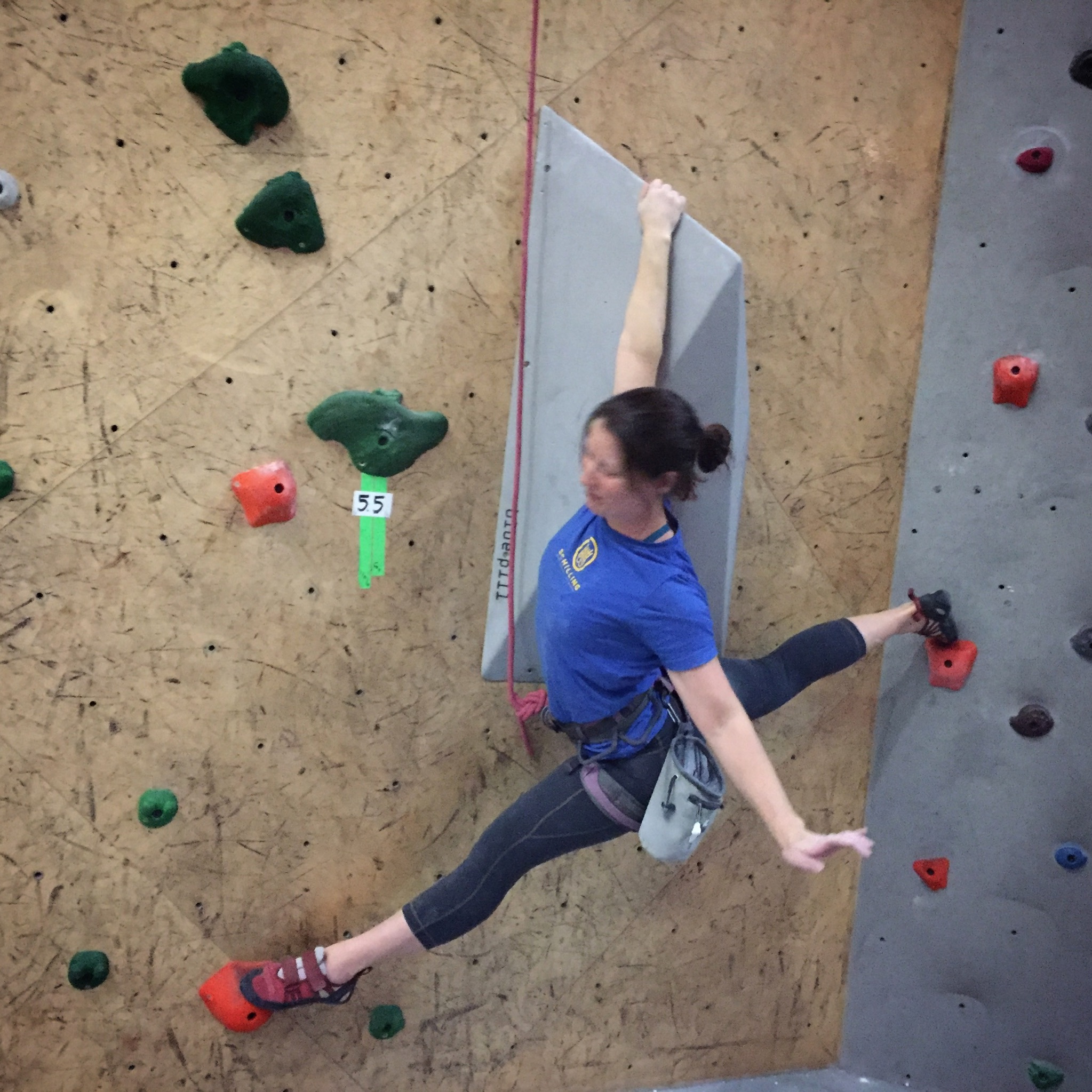 2019 Recap – Occasionally Awesome