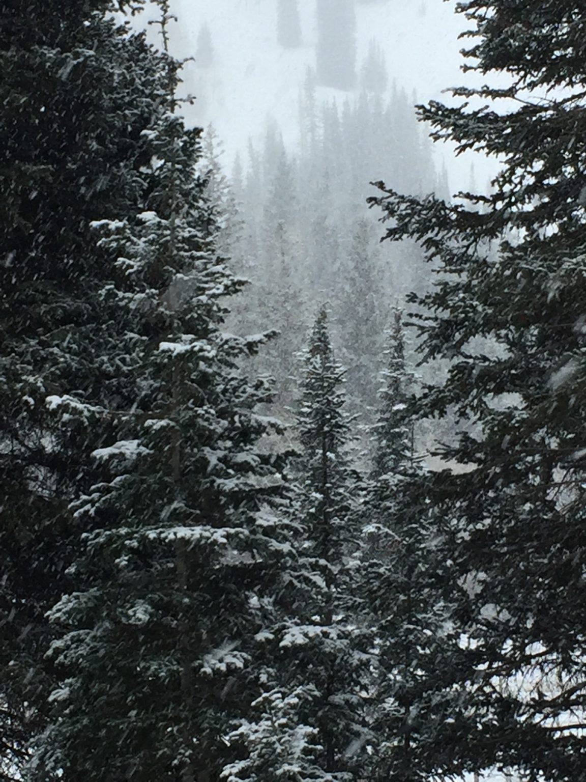 Mythical snow creatures – Occasionally Awesome